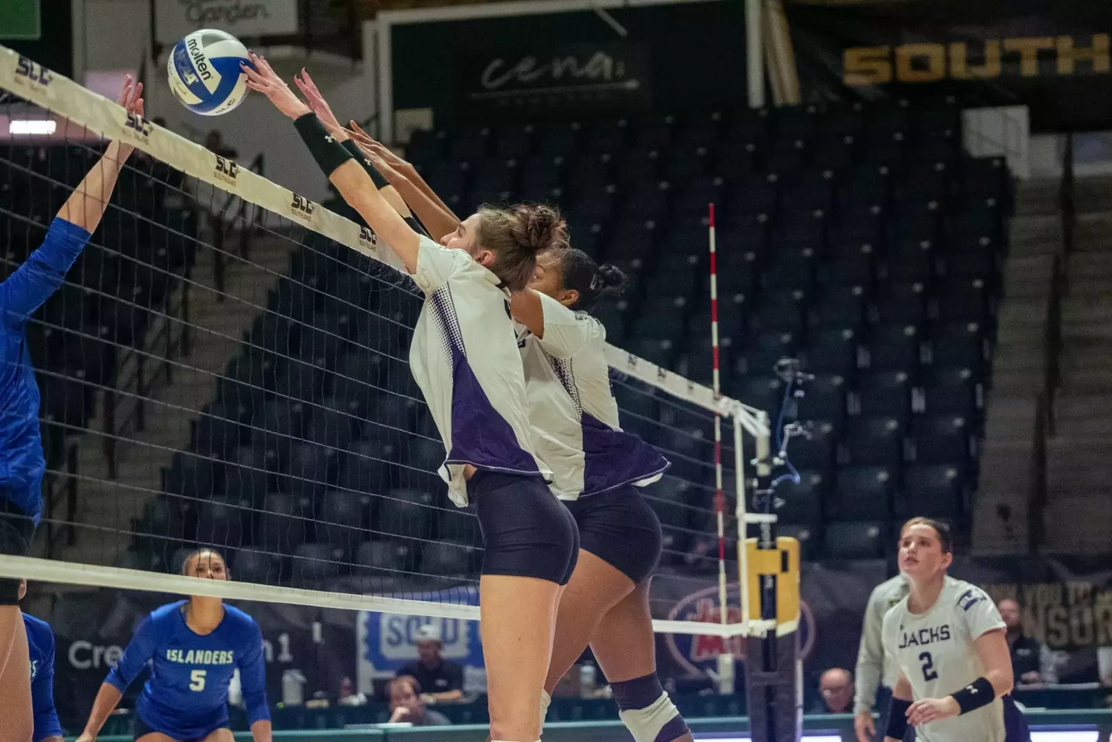 Stephen F Austin University