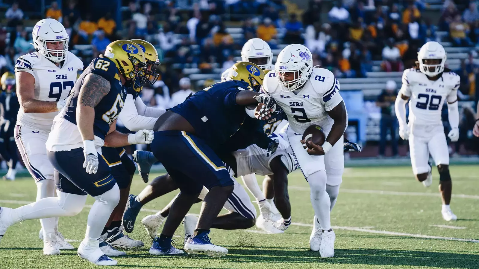 Stephen F Austin University