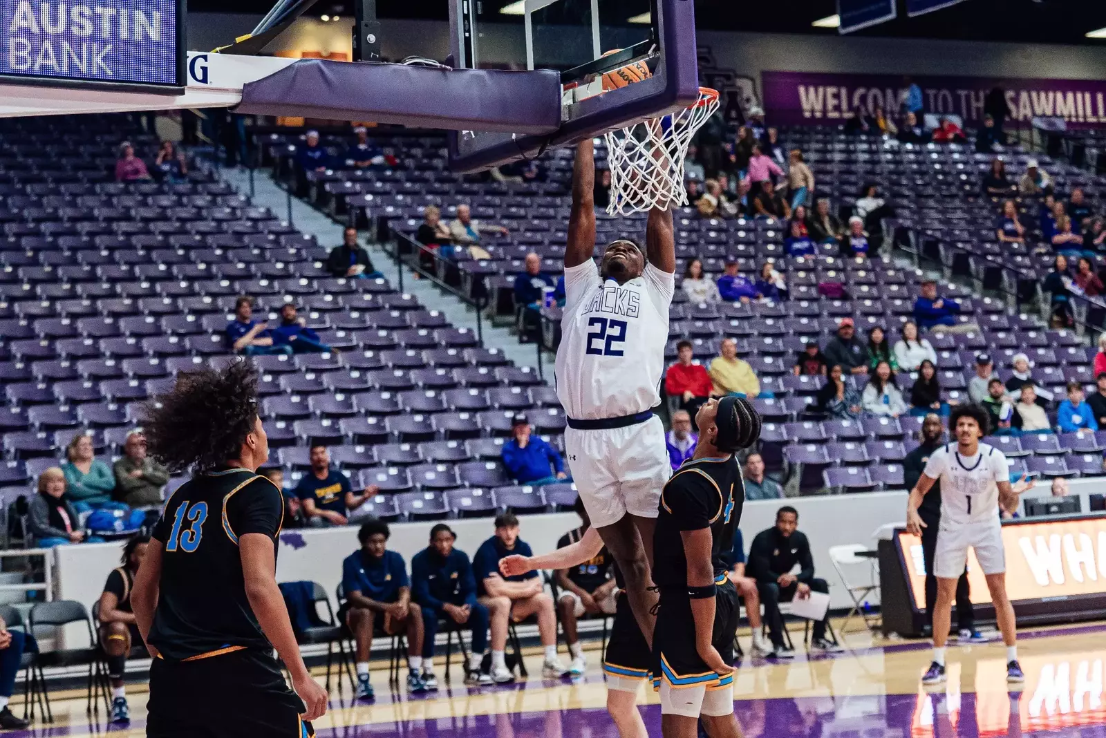 Stephen F Austin University