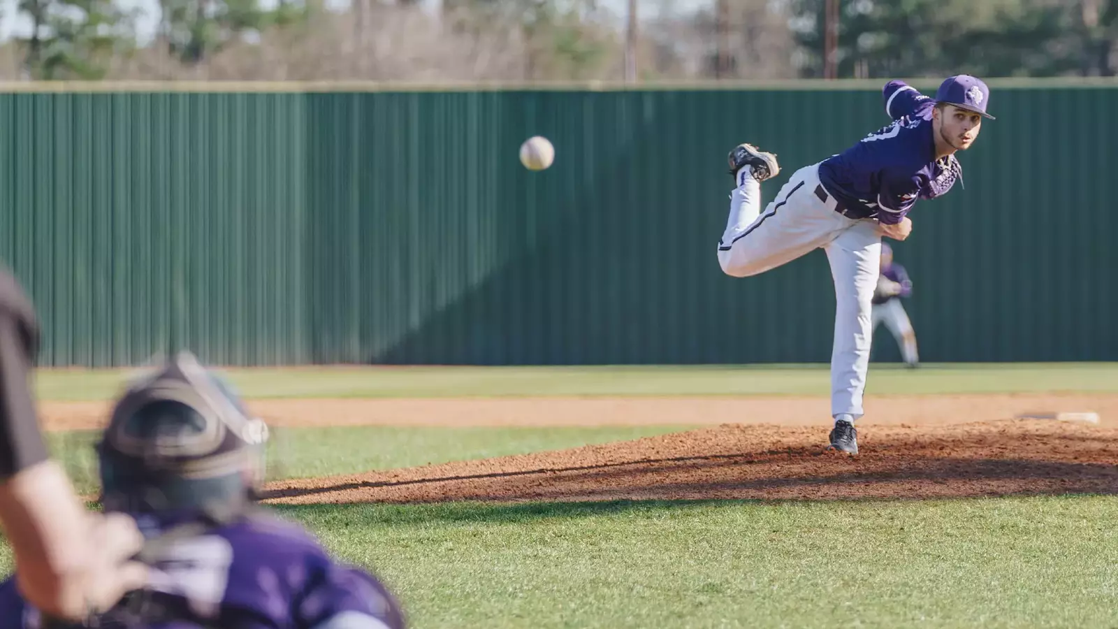 Stephen F Austin University