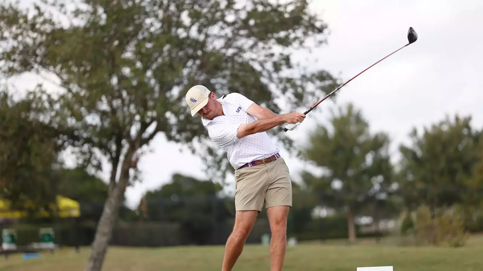 Stephen F Austin University