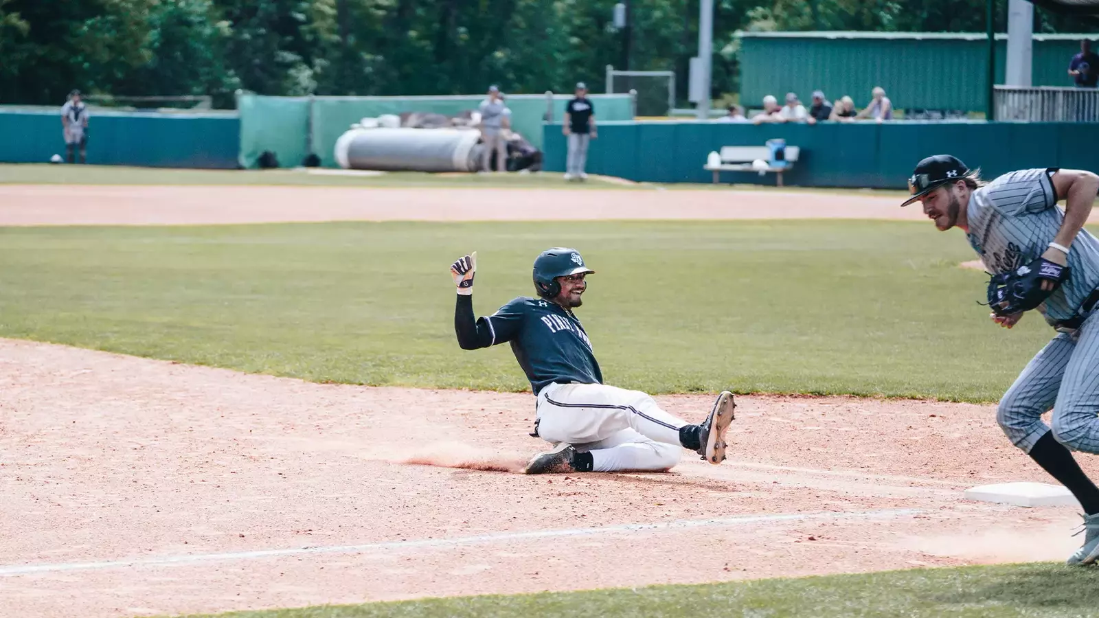 Stephen F Austin University