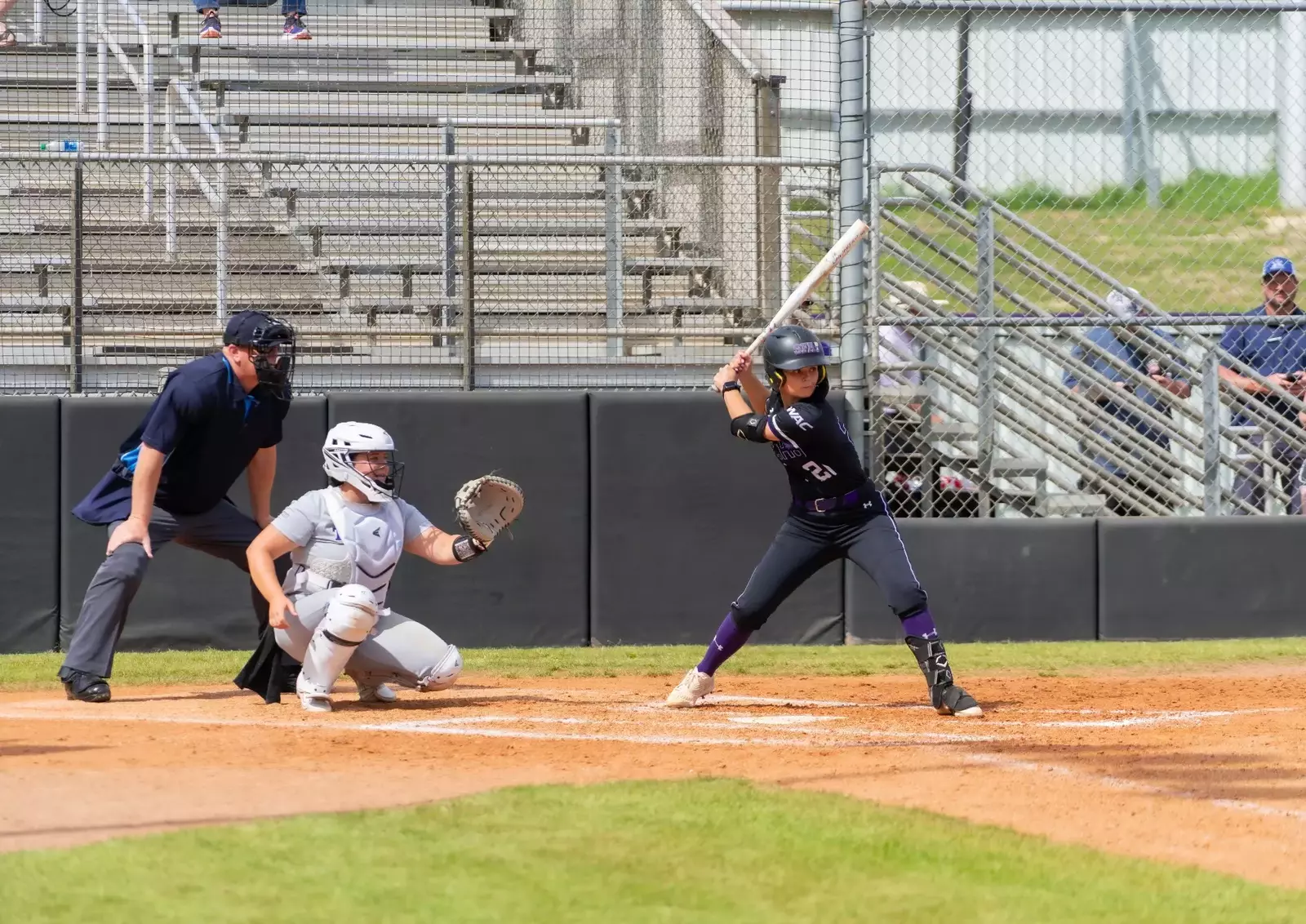 Stephen F Austin University