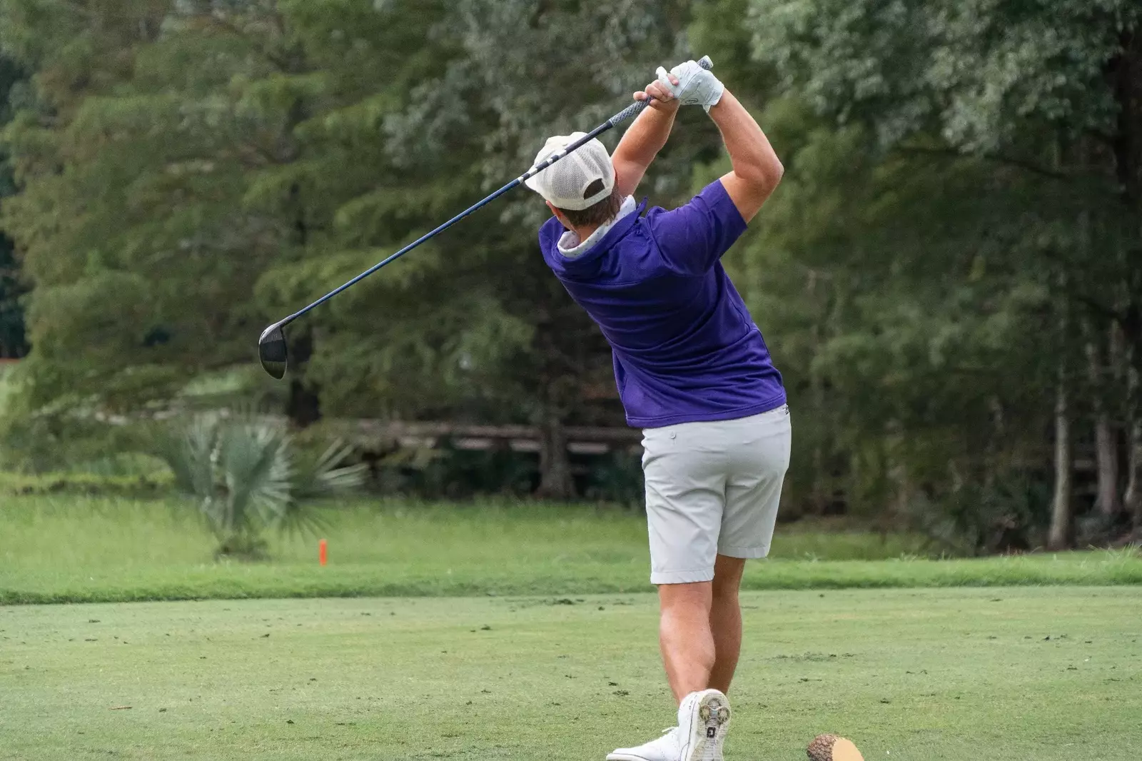 Stephen F Austin University