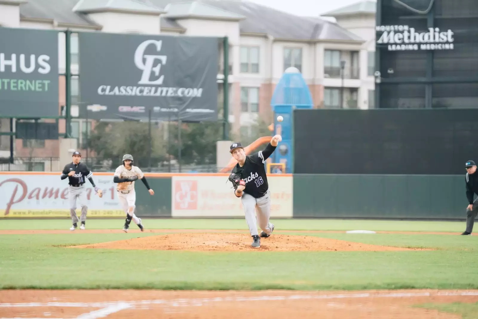 Stephen F Austin University