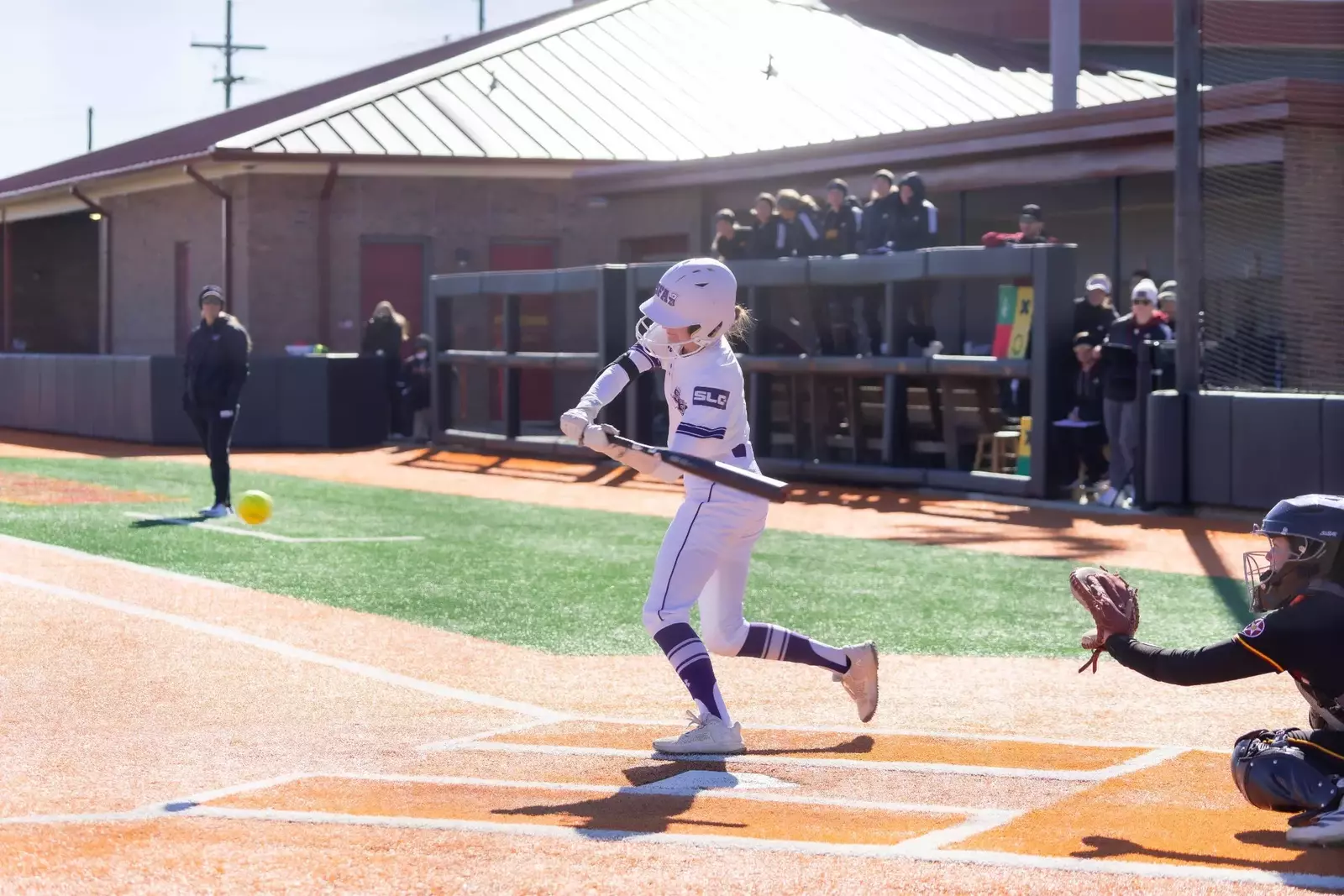 Stephen F Austin University