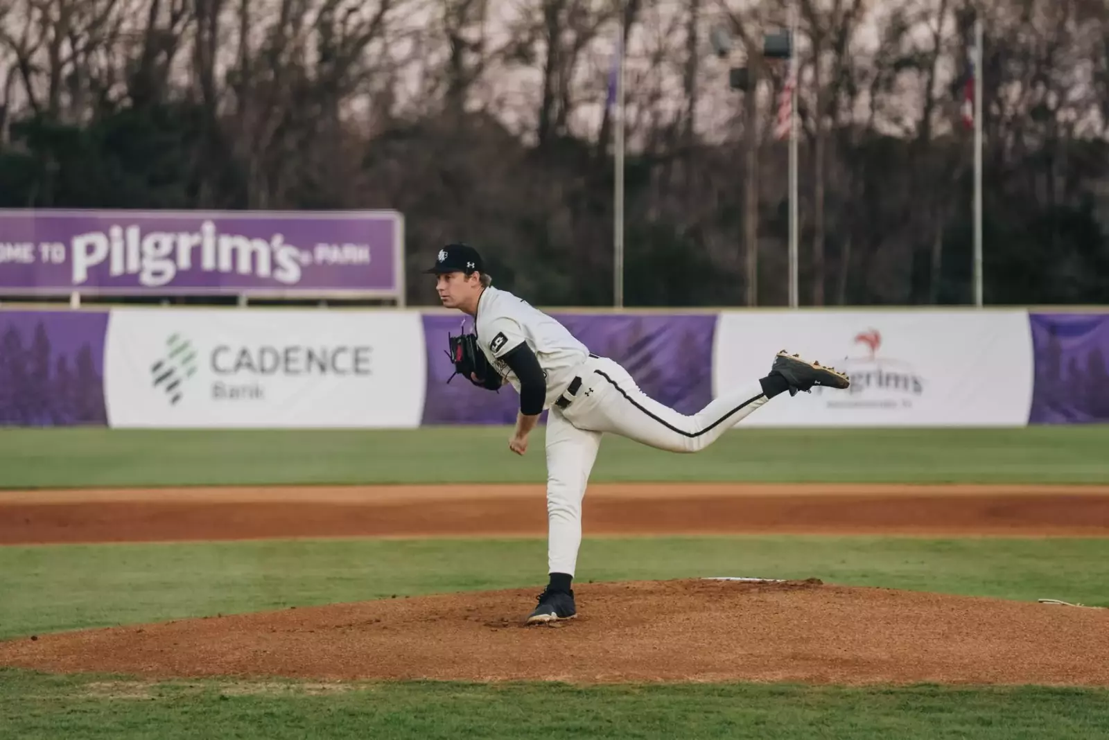 Stephen F Austin University