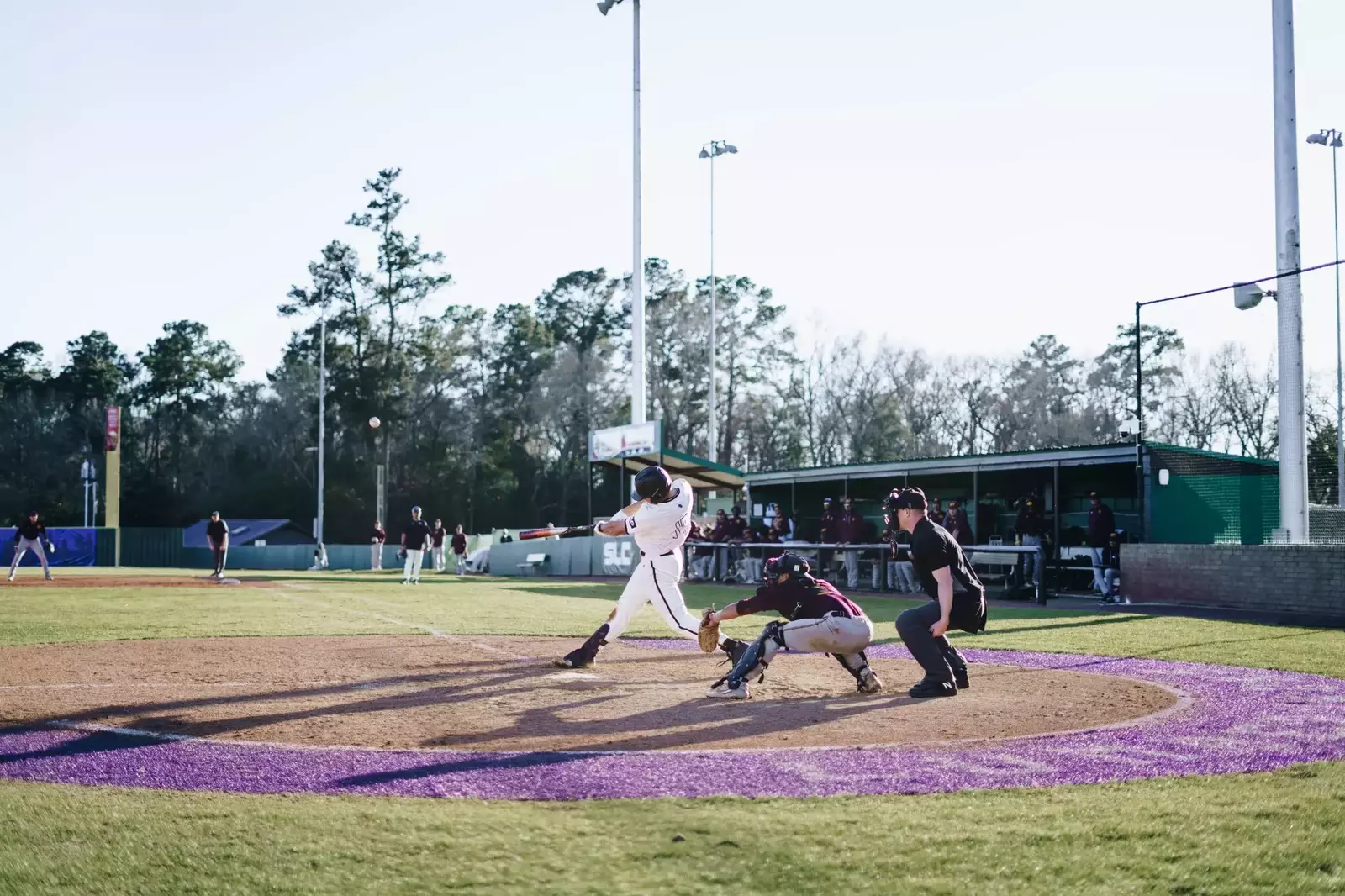 Stephen F Austin University