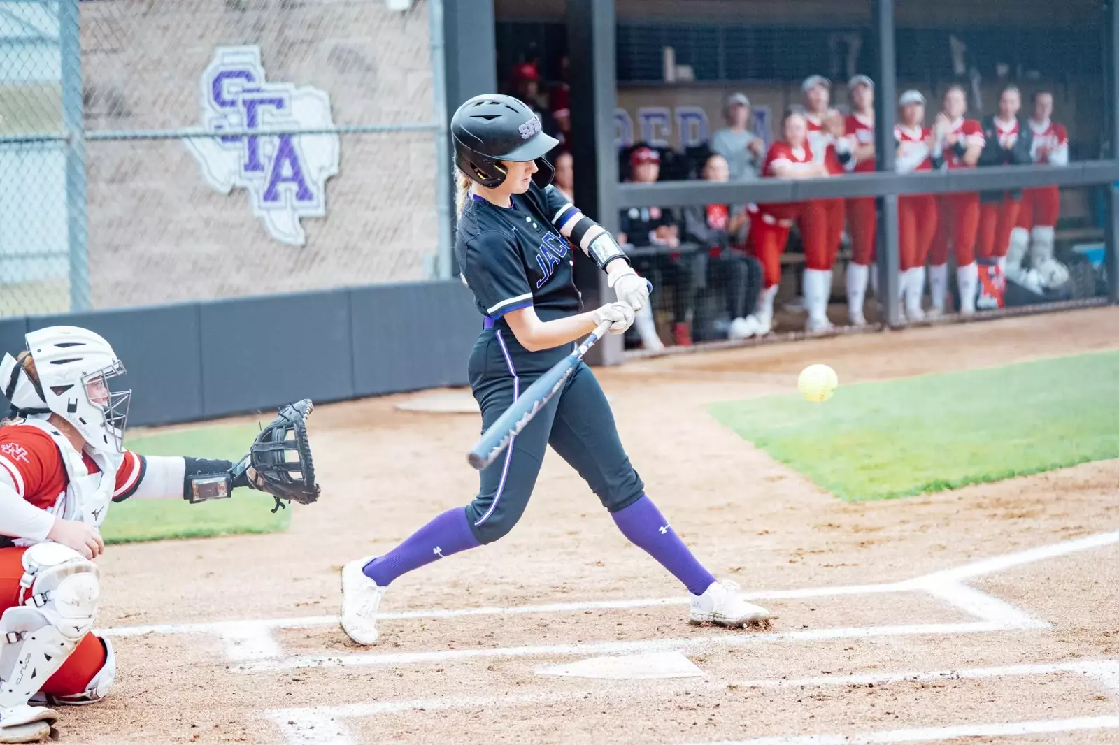 Stephen F Austin University