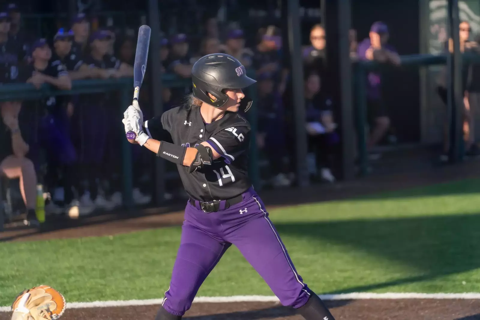 Stephen F Austin University