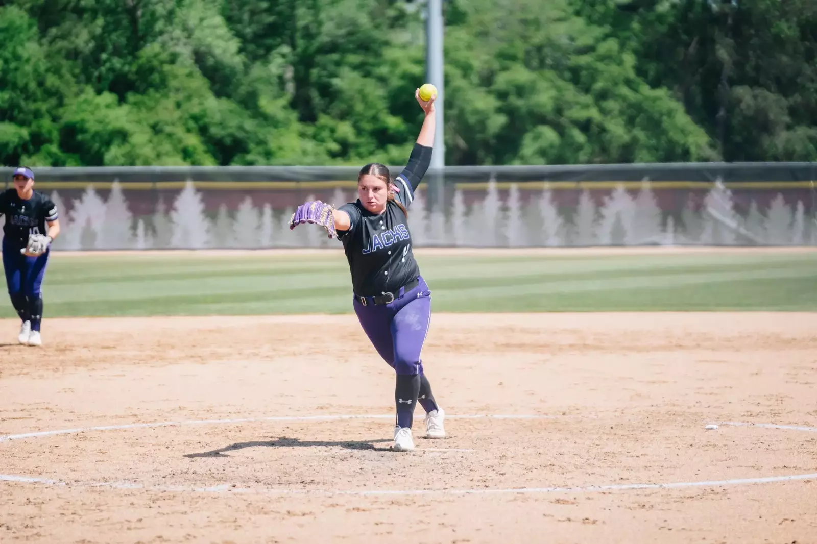 Stephen F Austin University