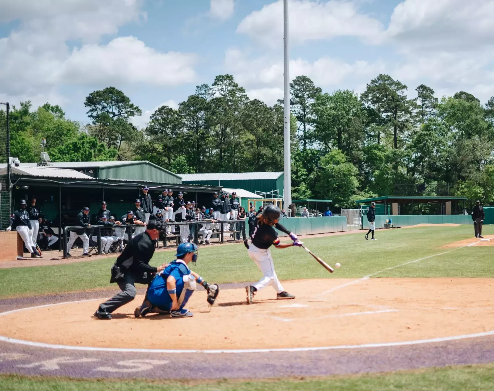 Stephen F Austin University