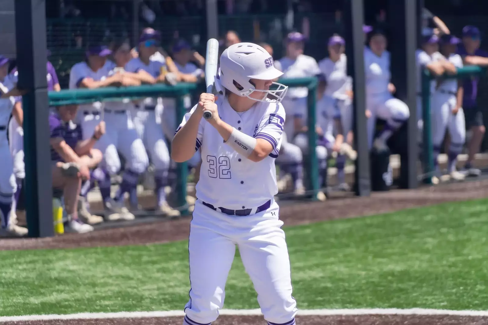 Stephen F Austin University
