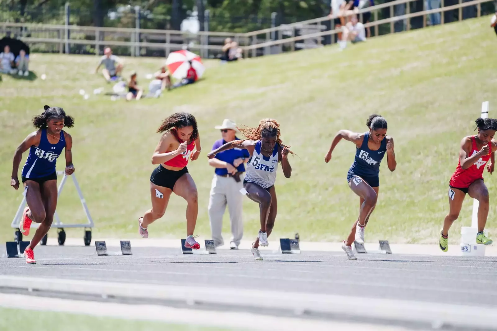 Stephen F Austin University