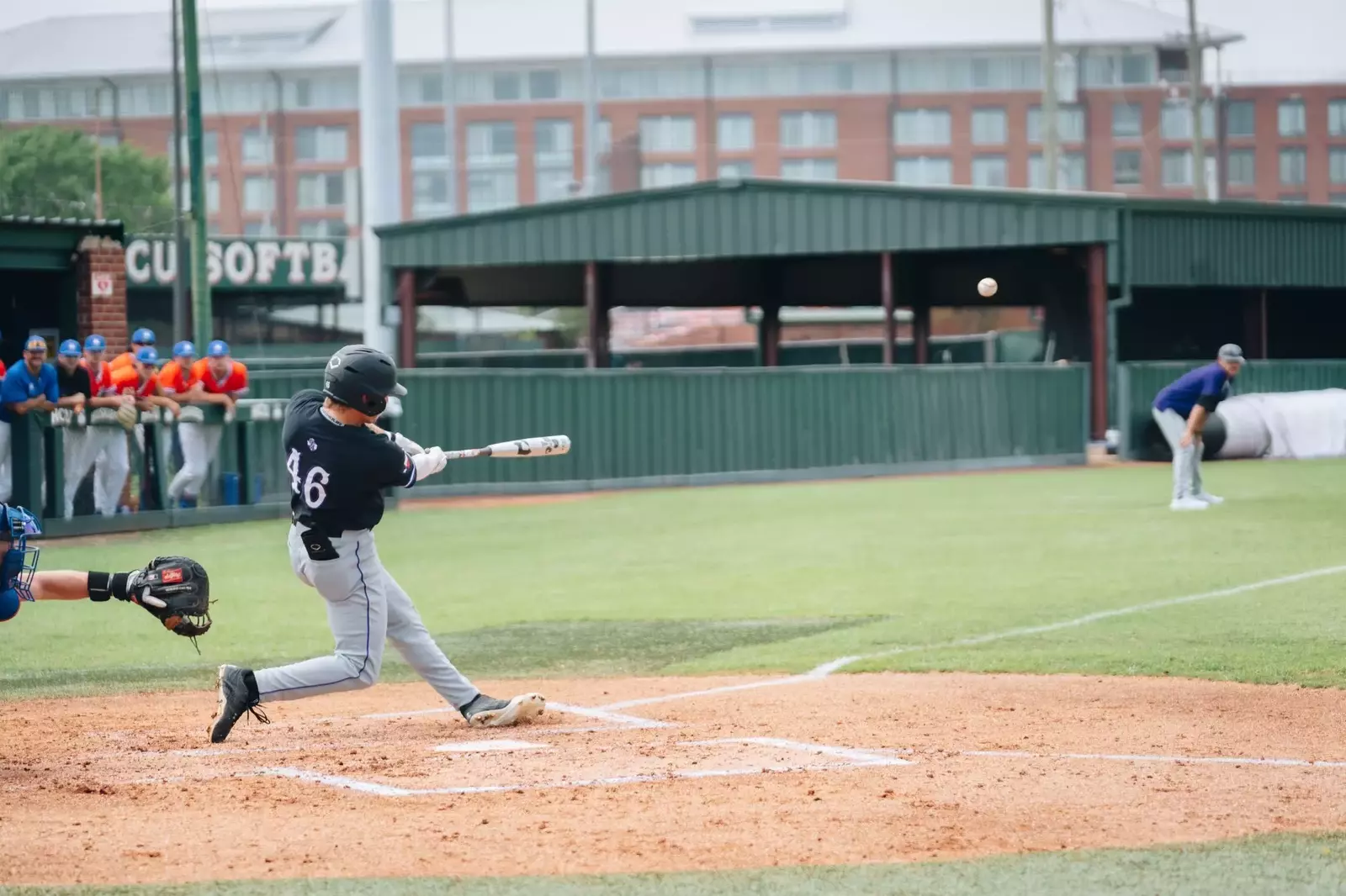 Stephen F Austin University