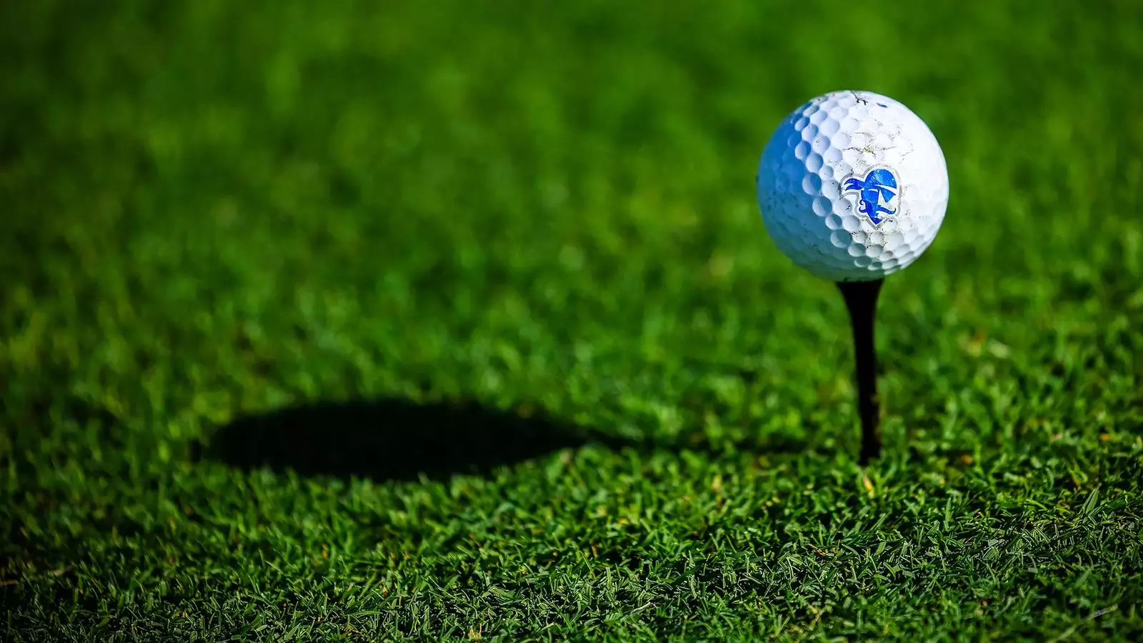 Hennessee Shines on Day Two at Golfweek Challenge - Seton Hall ...