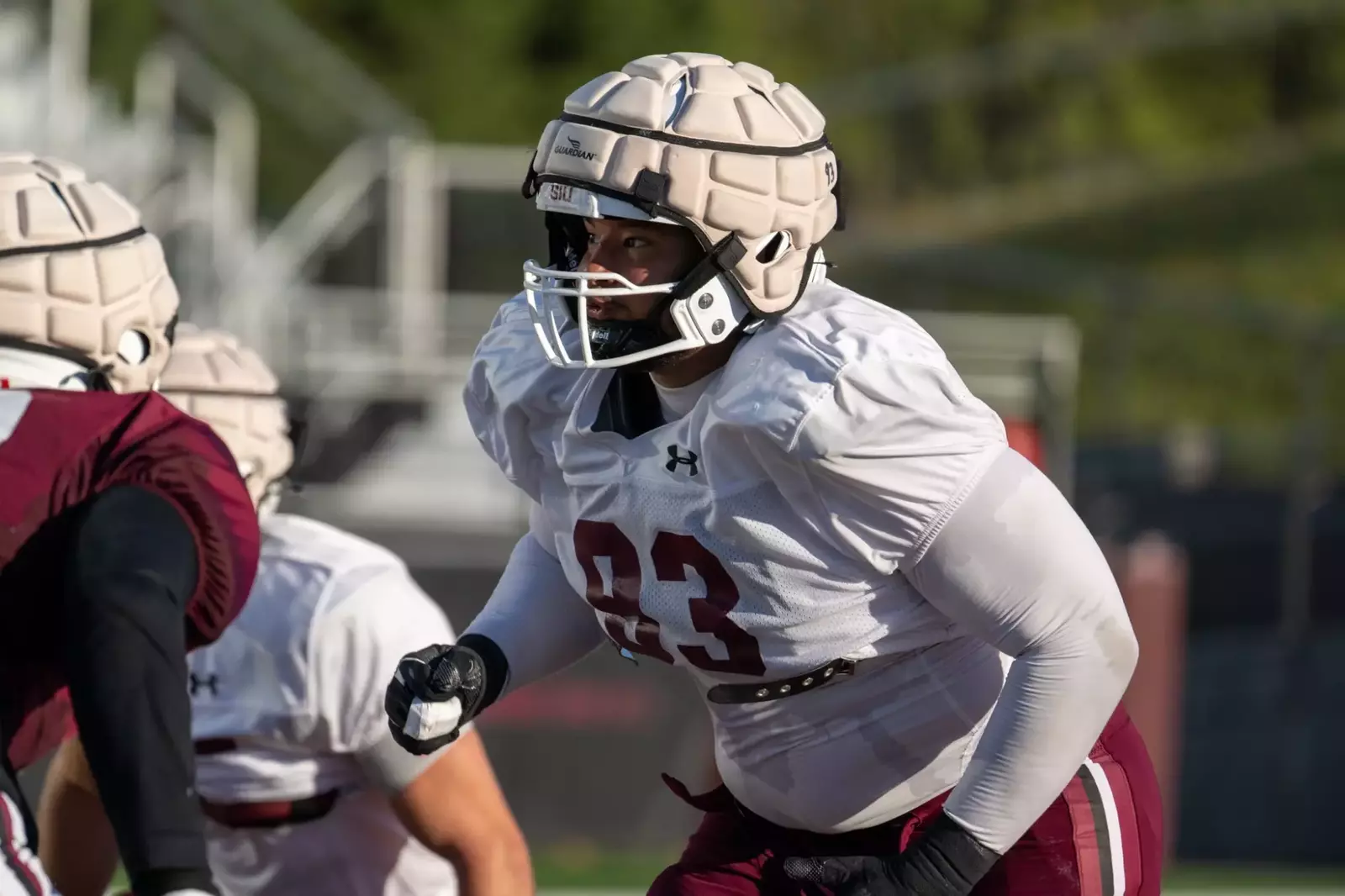 Southern Illinois Salukis - Official Athletics Website