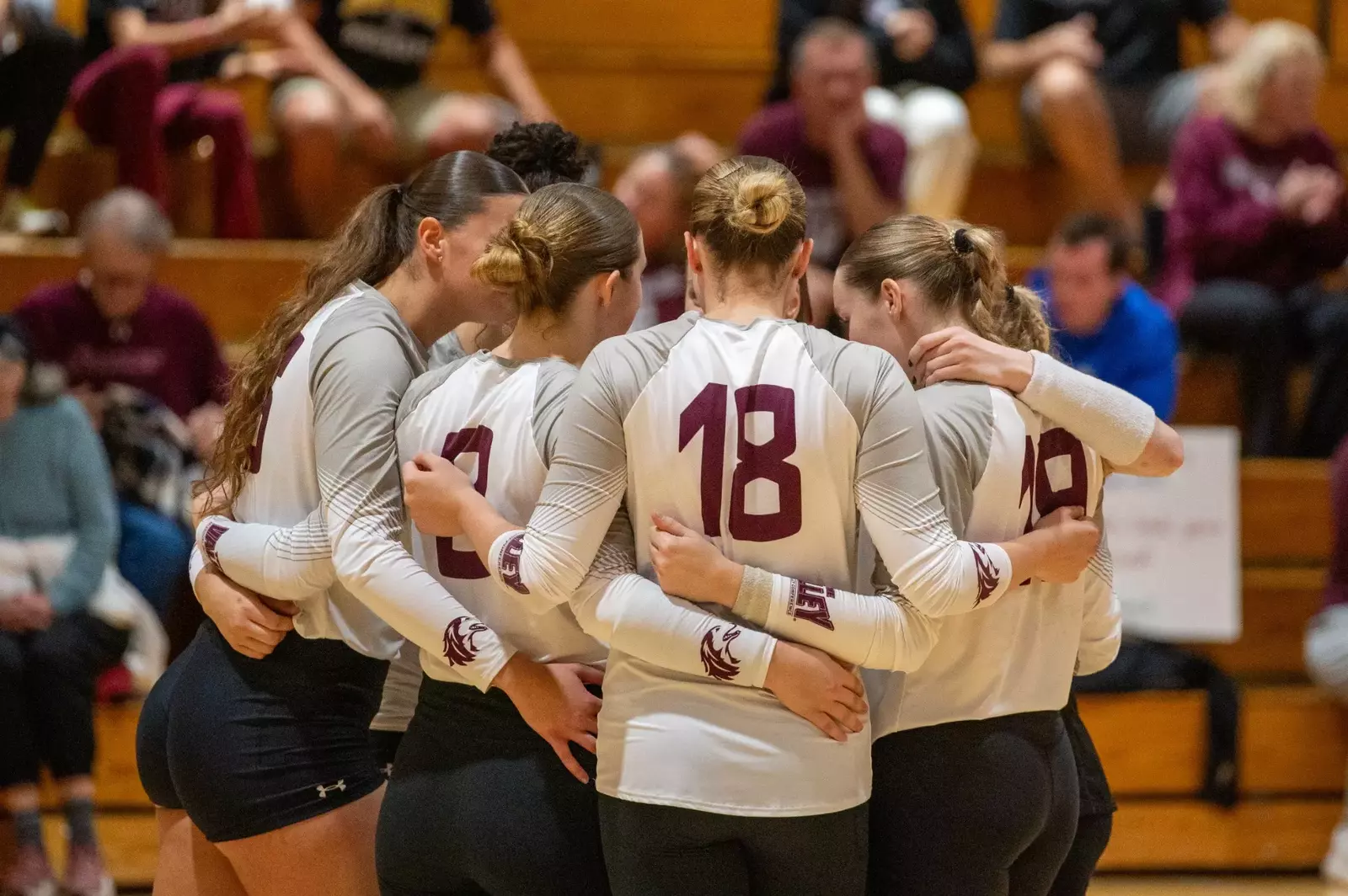 Southern Illinois Salukis - Official Athletics Website