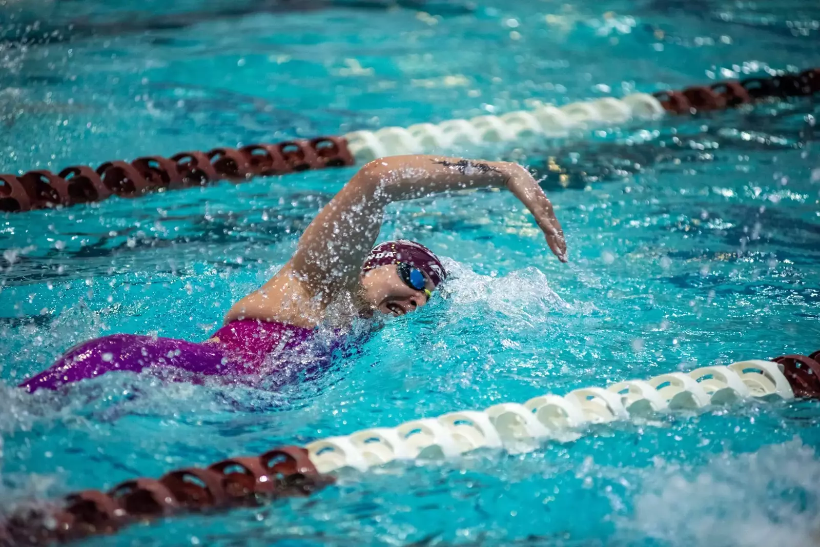 Southern Illinois Salukis - Official Athletics Website