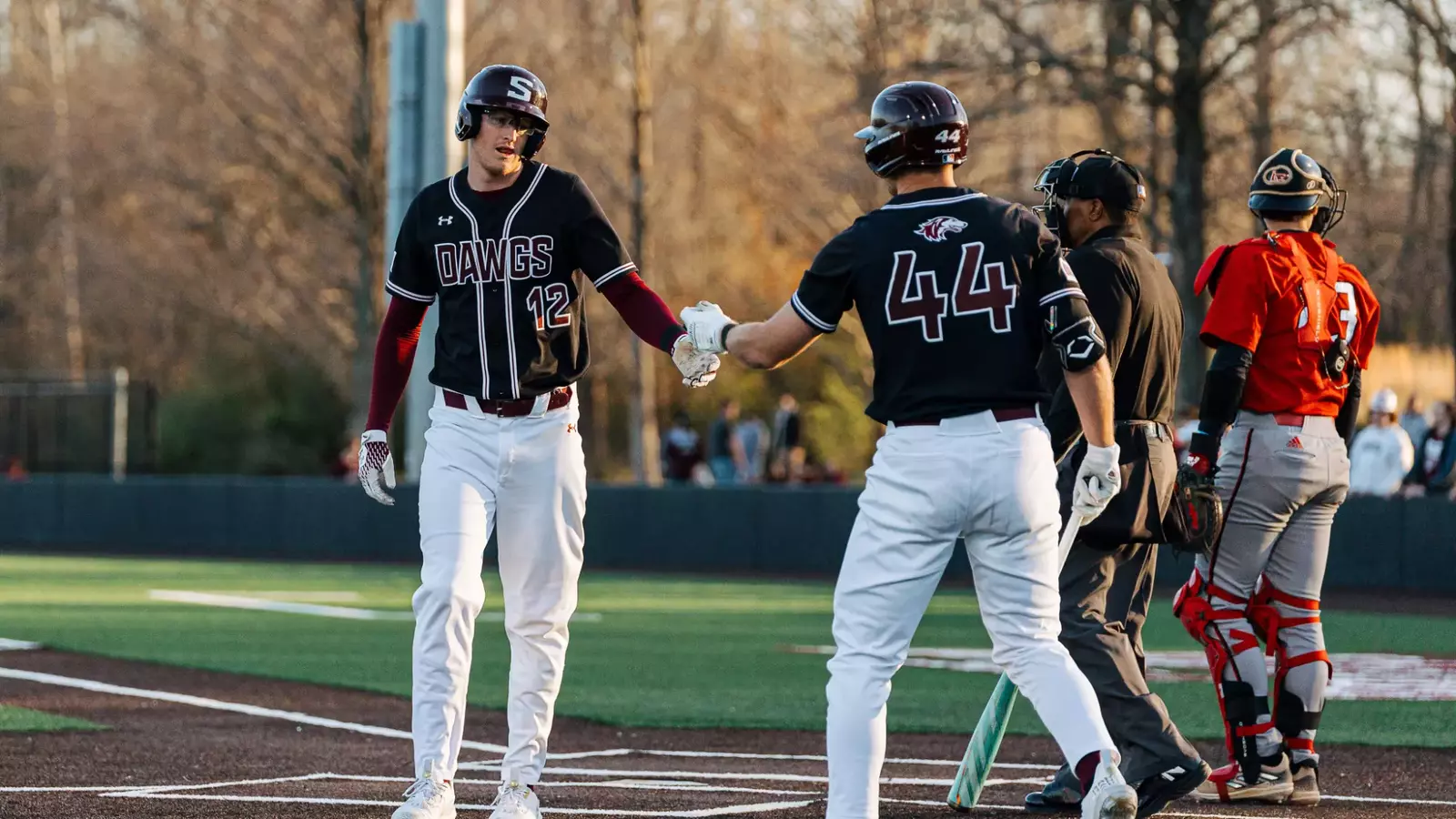 Southern Illinois Salukis - Official Athletics Website