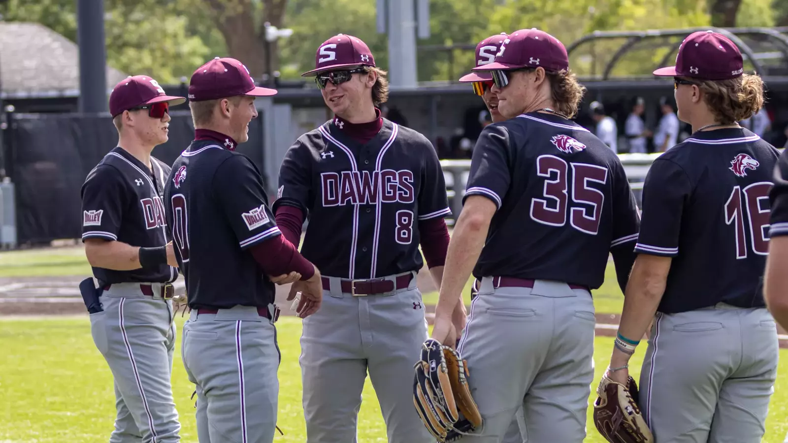 Southern Illinois Salukis - Official Athletics Website