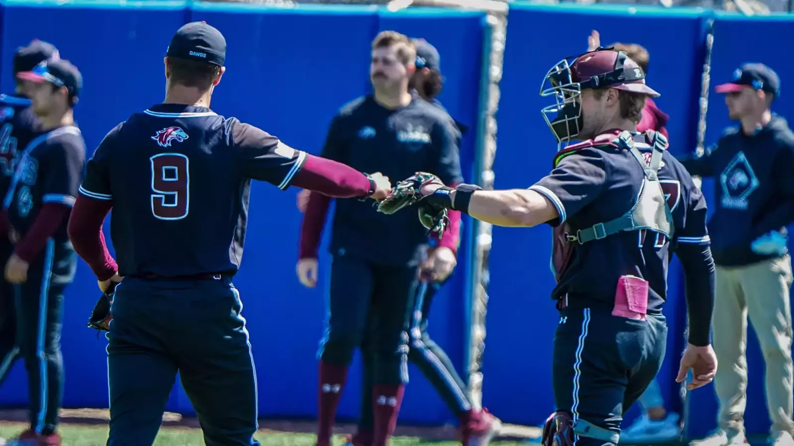 Southern Illinois Salukis - Official Athletics Website