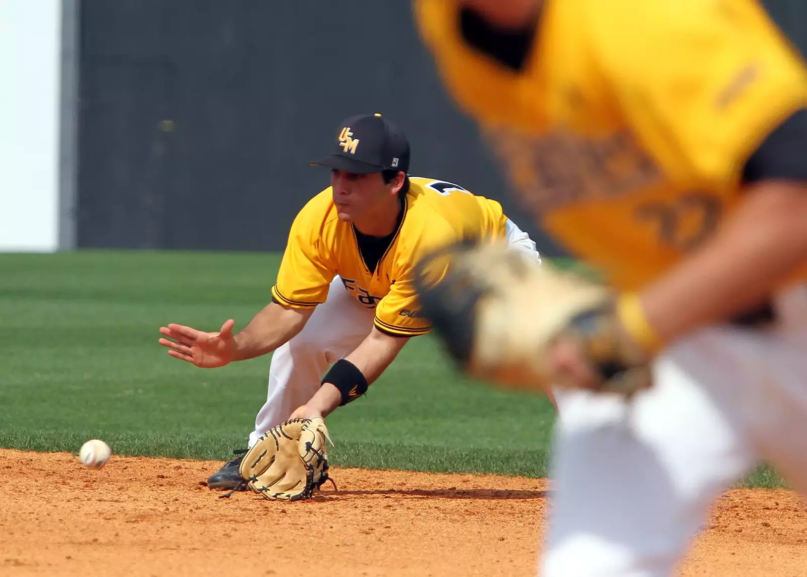 University of Southern Mississippi