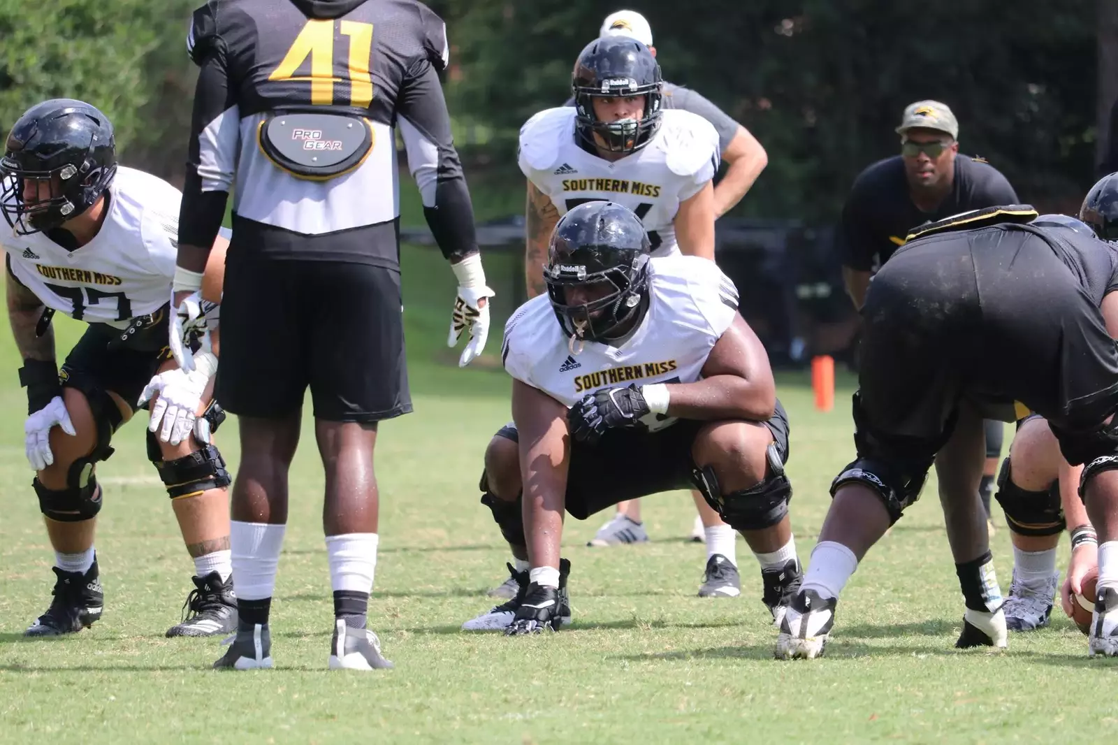 University of Southern Mississippi