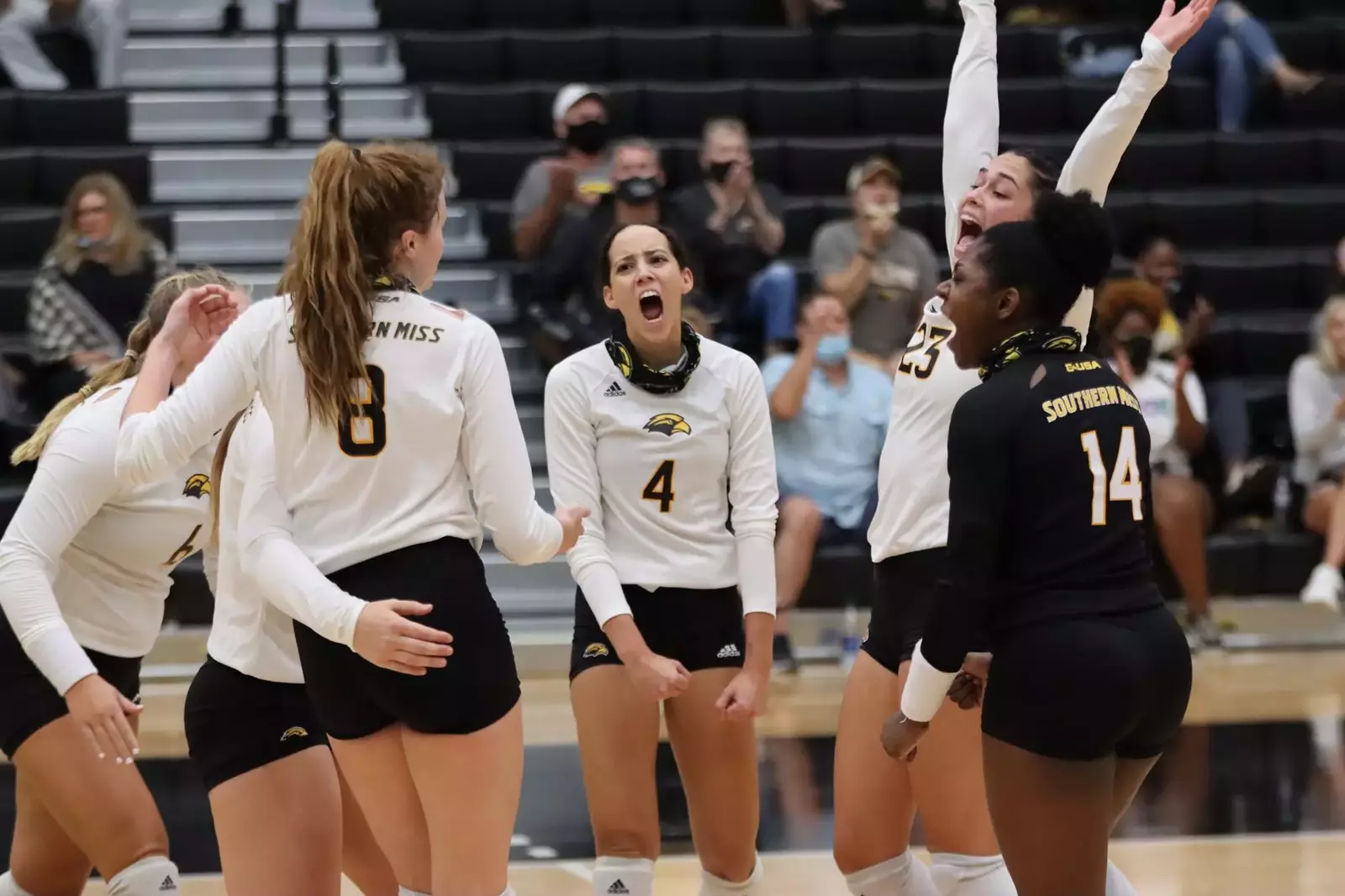 University of Southern Mississippi