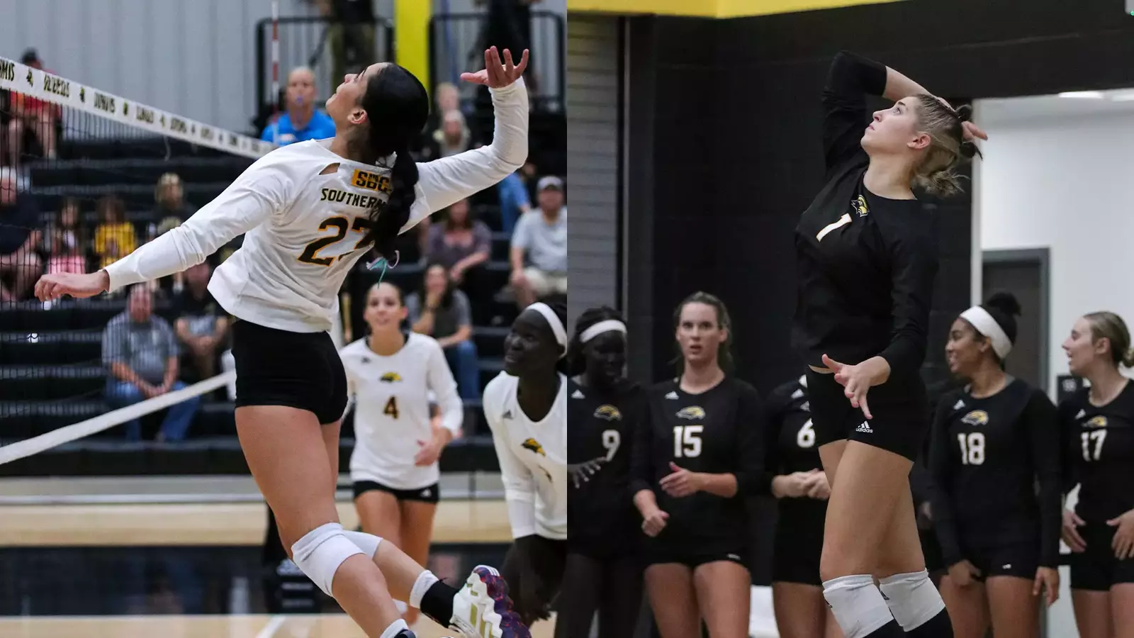 University of Southern Mississippi