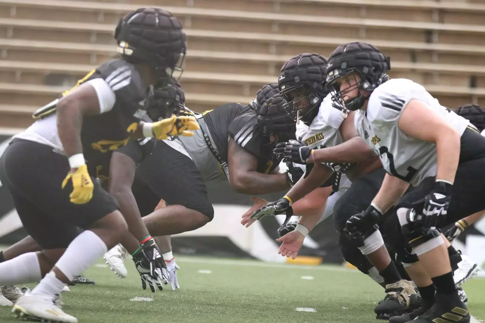 University of Southern Mississippi