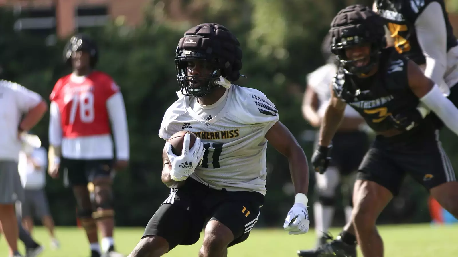 University of Southern Mississippi