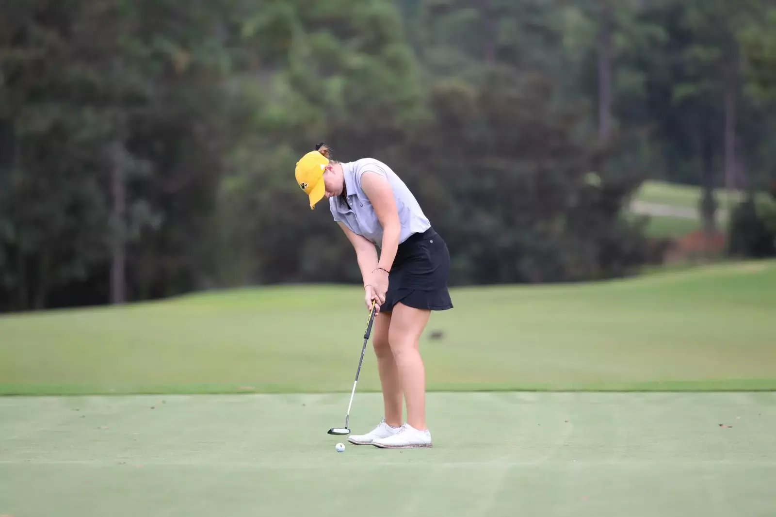 University of Southern Mississippi