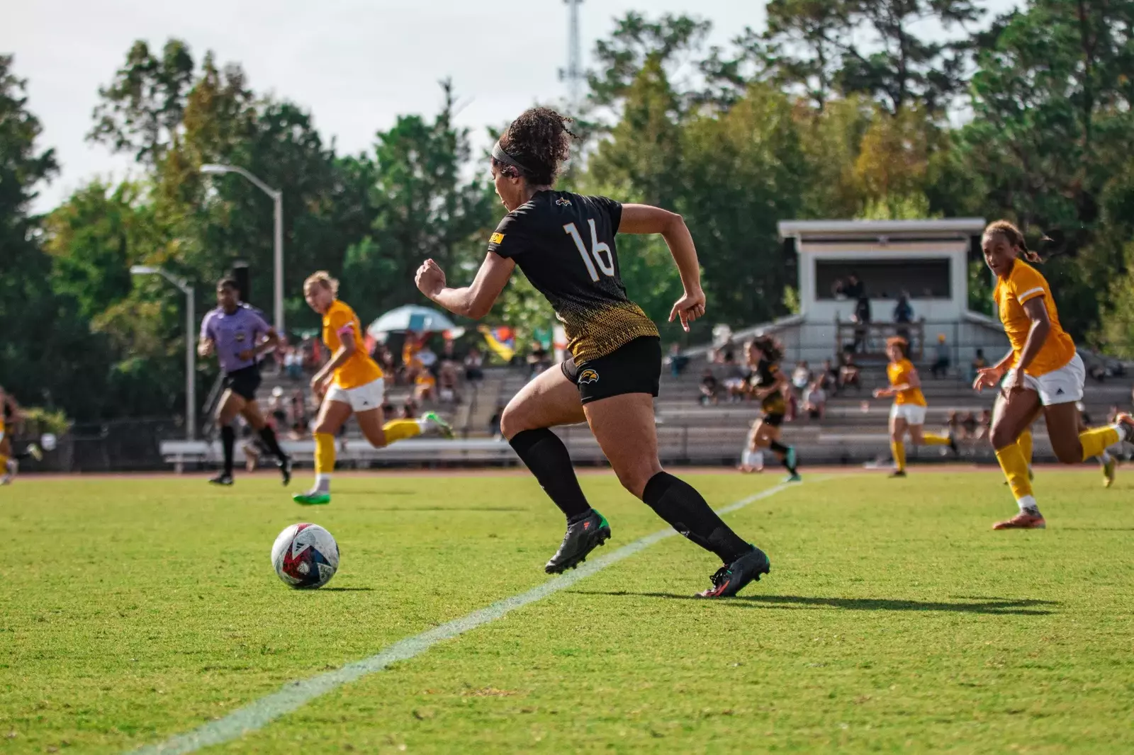 University of Southern Mississippi