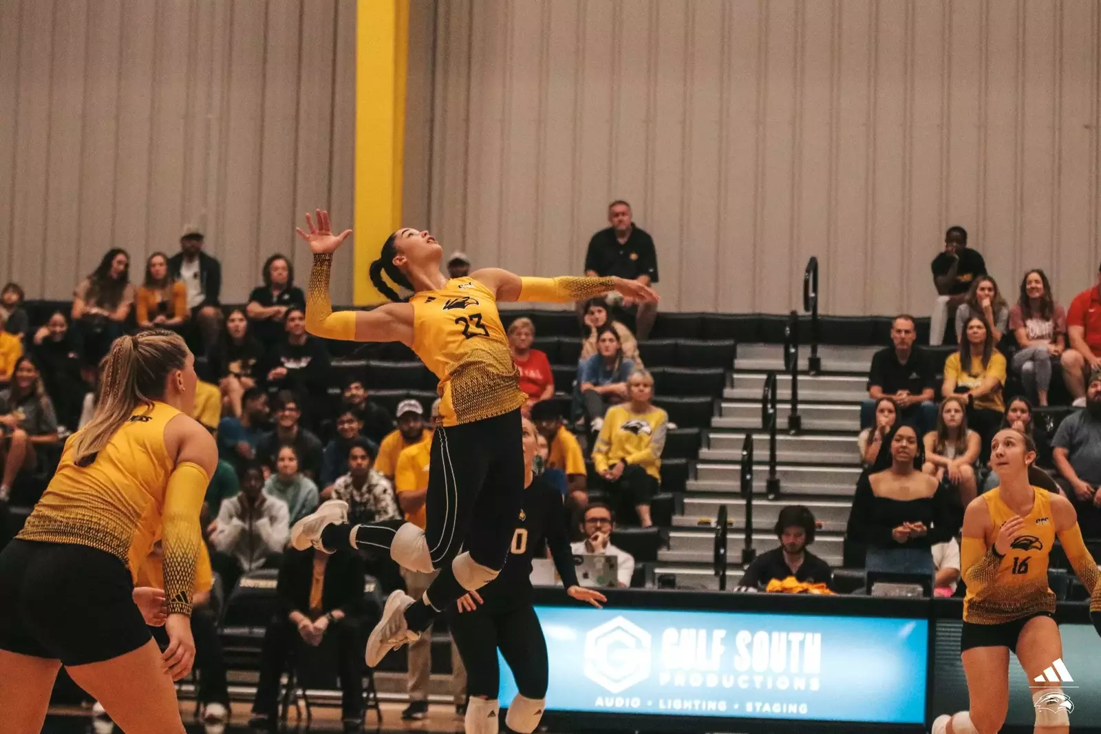 University of Southern Mississippi