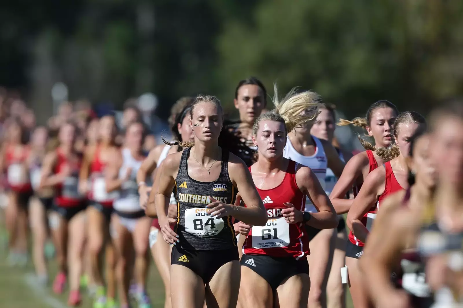 University of Southern Mississippi