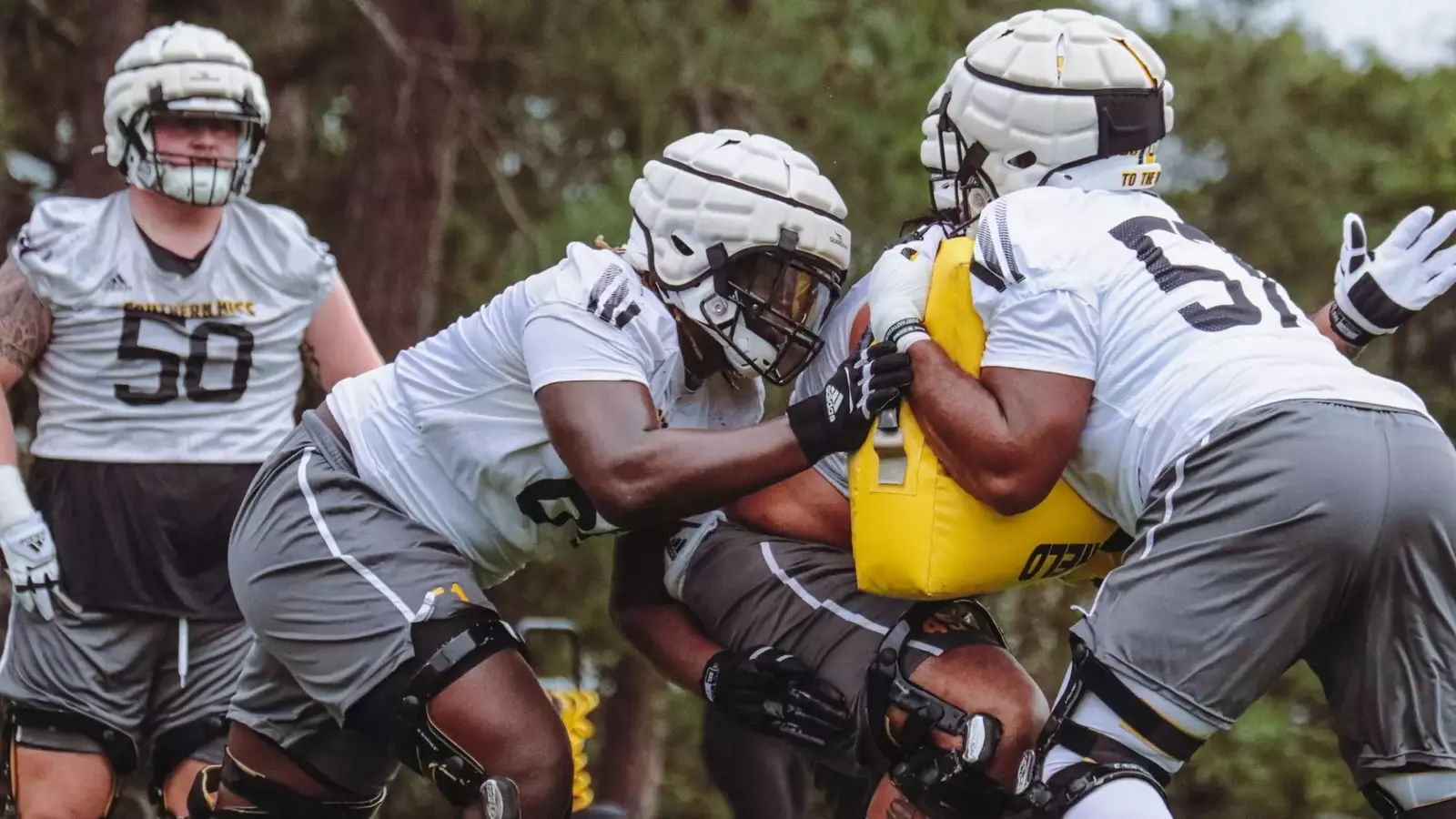 University of Southern Mississippi