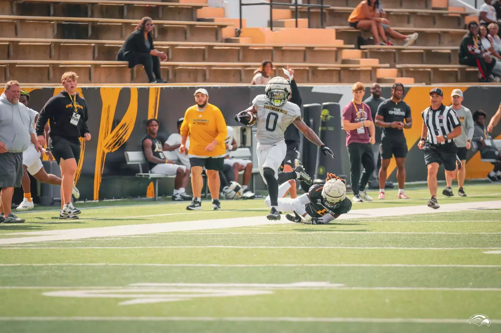 University of Southern Mississippi