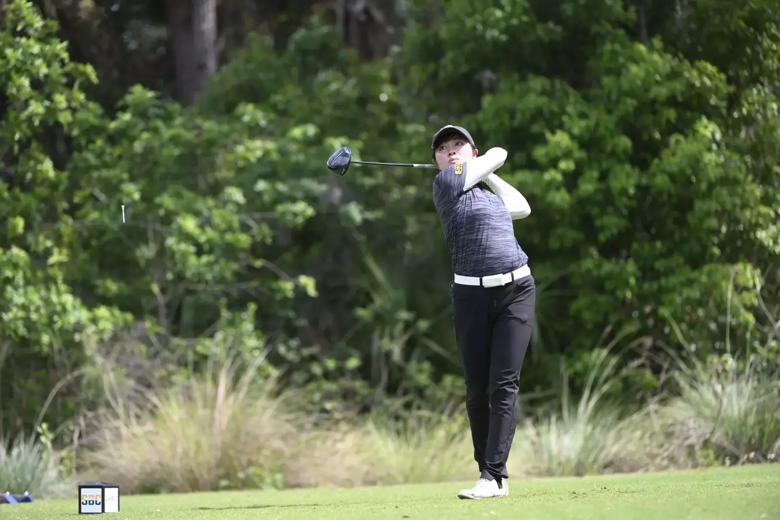 University of Southern Mississippi