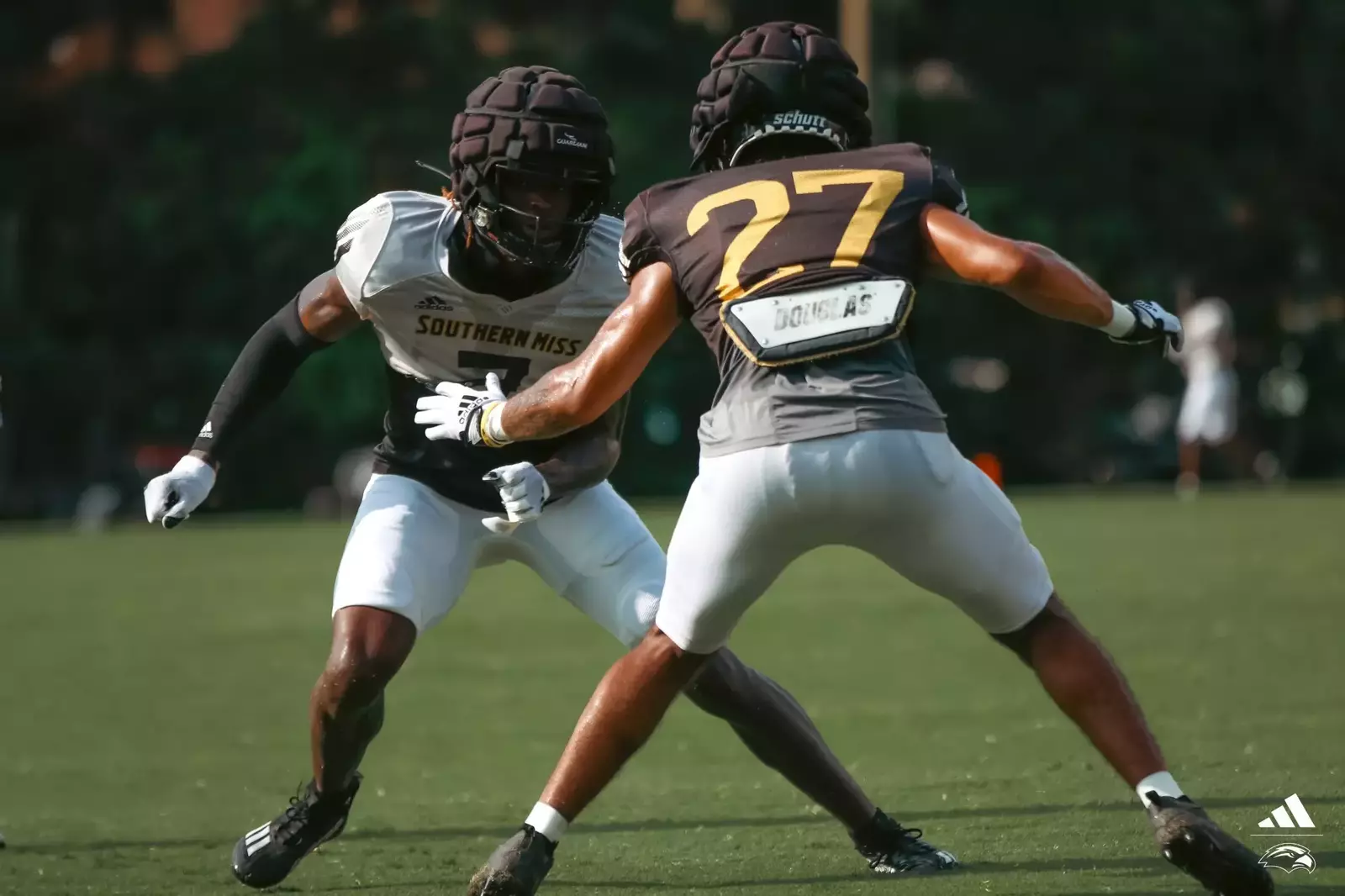 University of Southern Mississippi