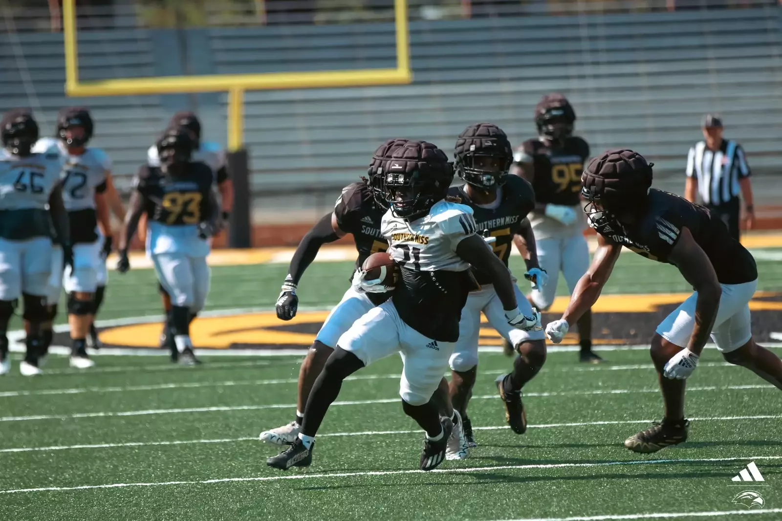 University of Southern Mississippi