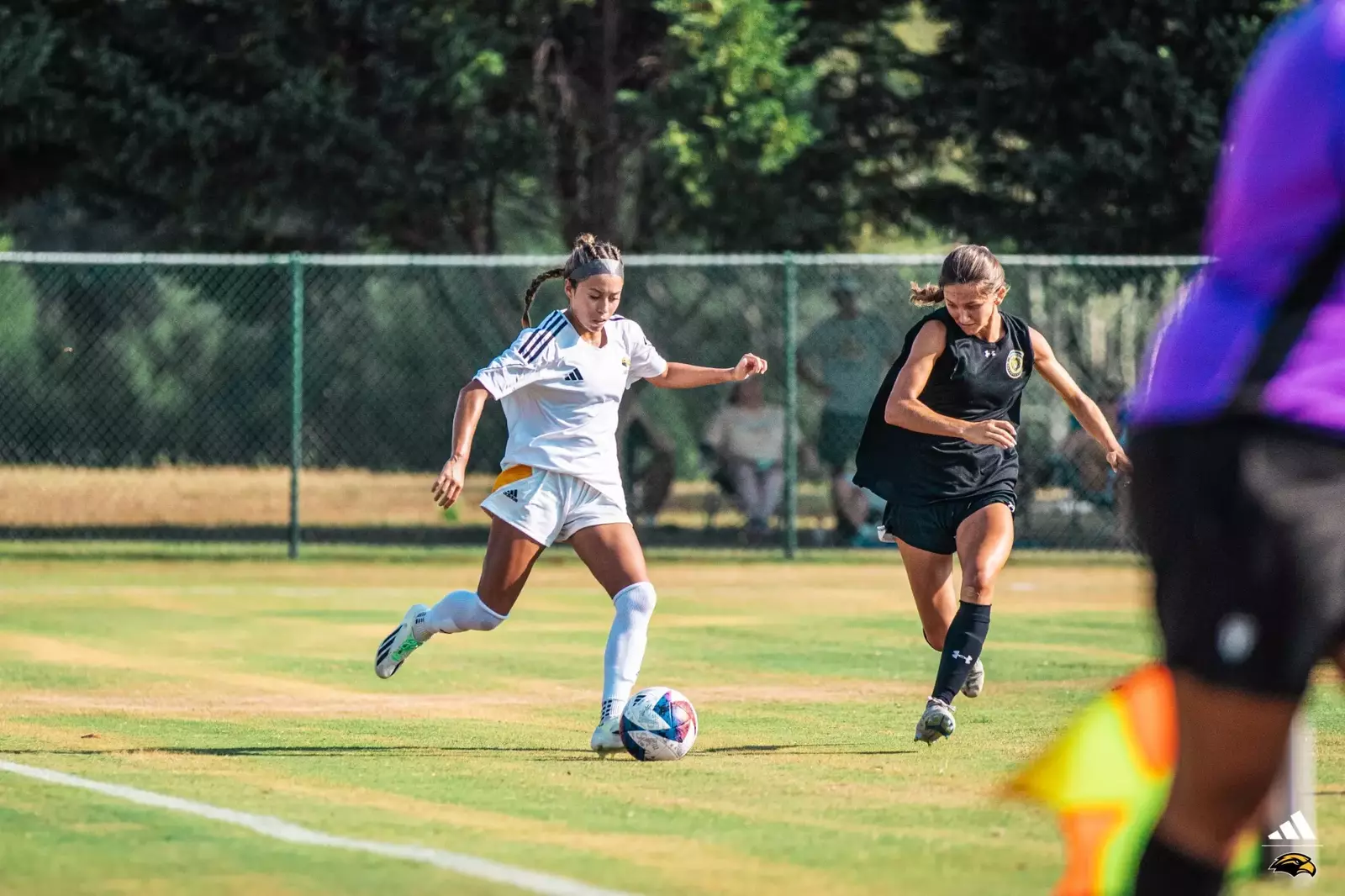 University of Southern Mississippi