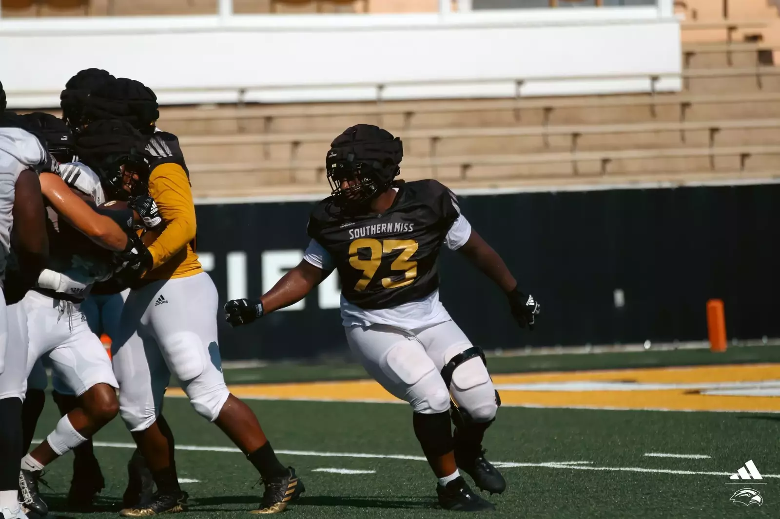 University of Southern Mississippi