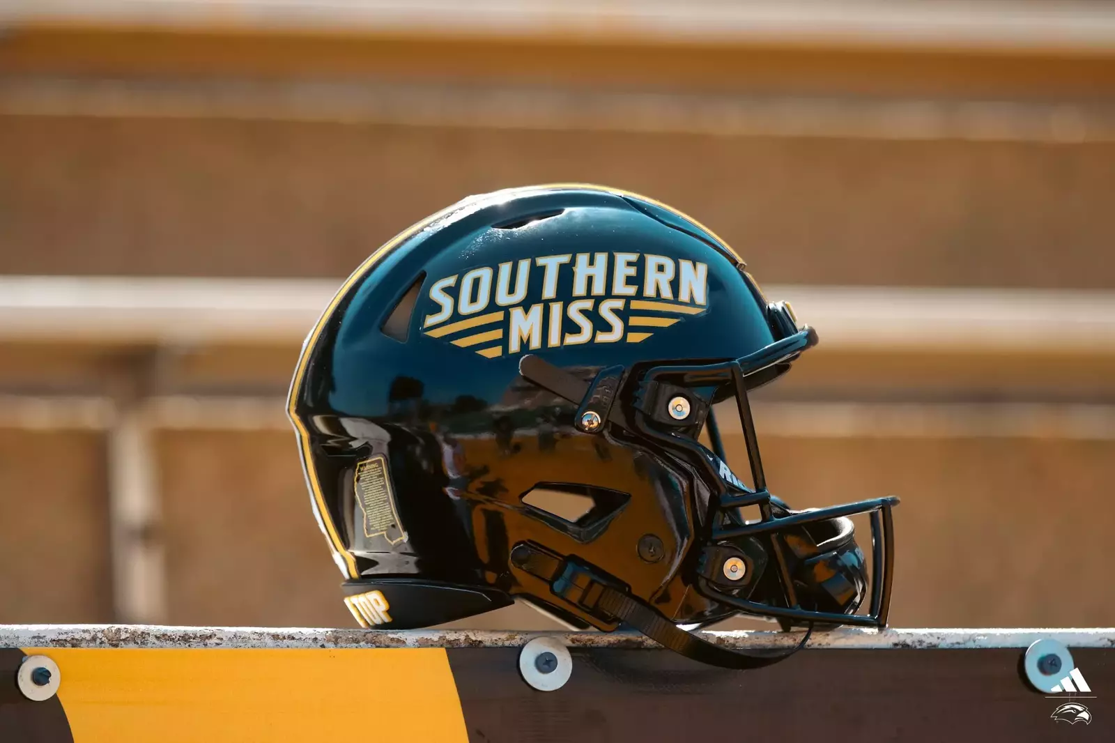 University of Southern Mississippi