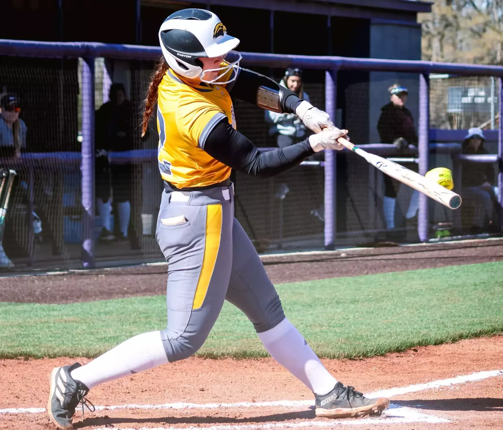 University of Southern Mississippi