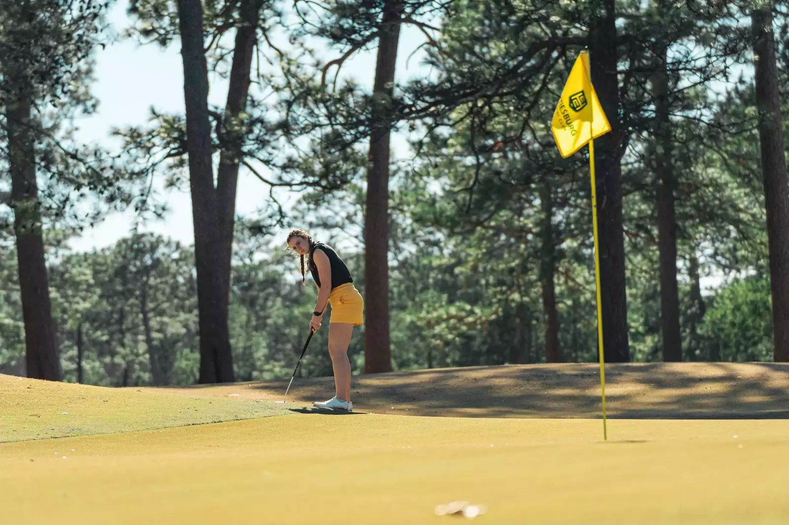 University of Southern Mississippi