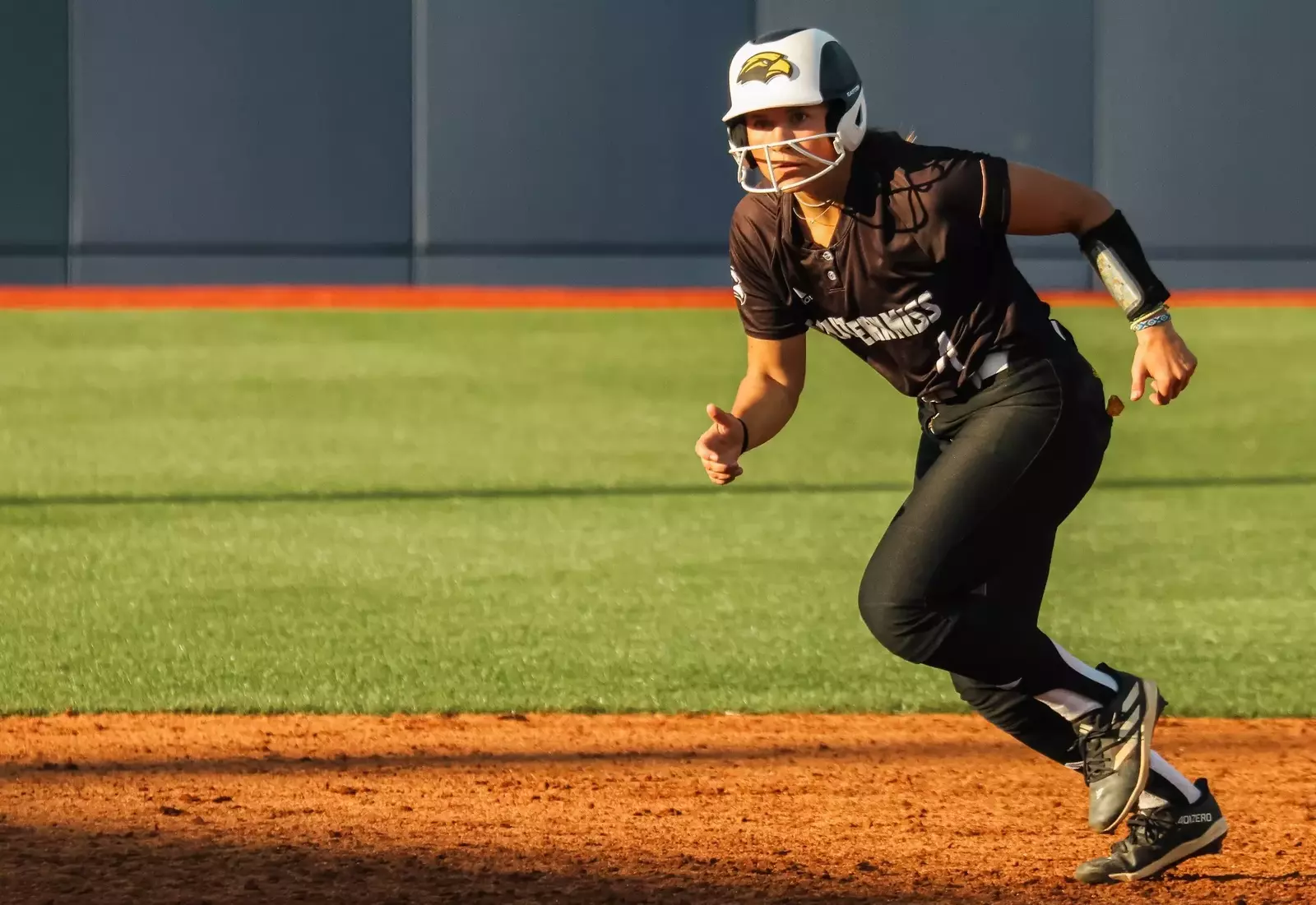 University of Southern Mississippi