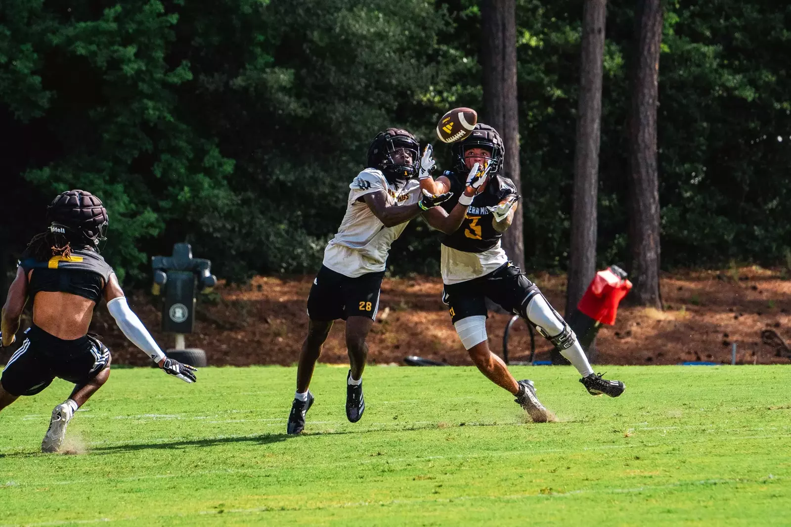 University of Southern Mississippi