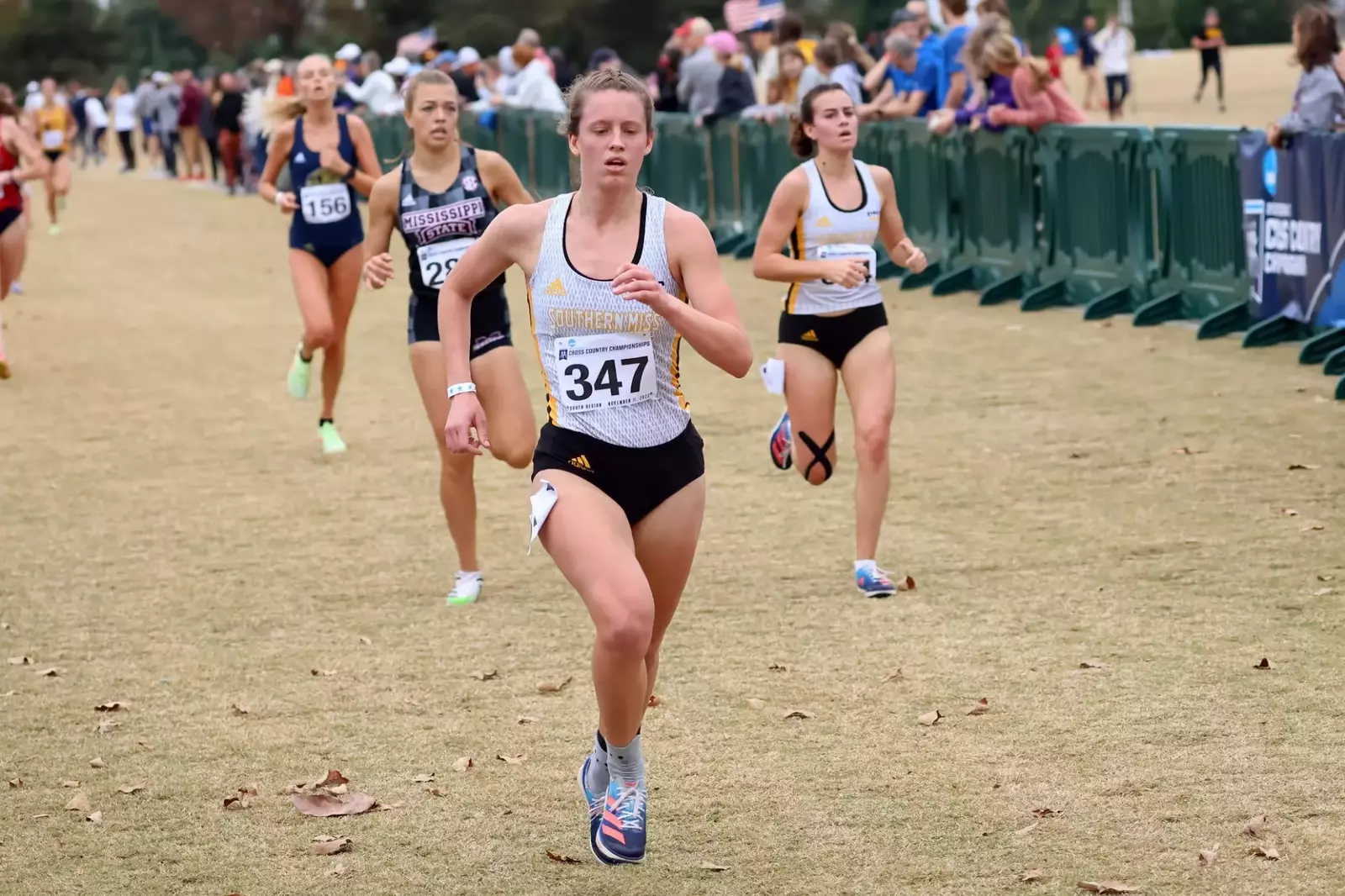 University of Southern Mississippi