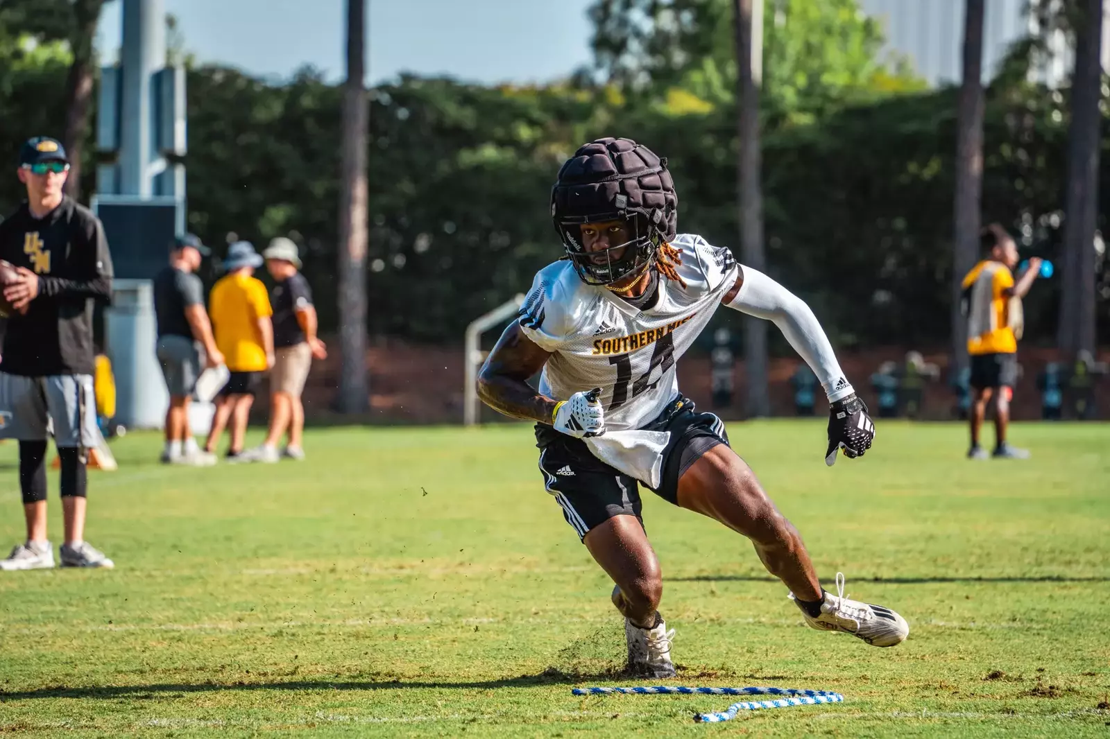 University of Southern Mississippi